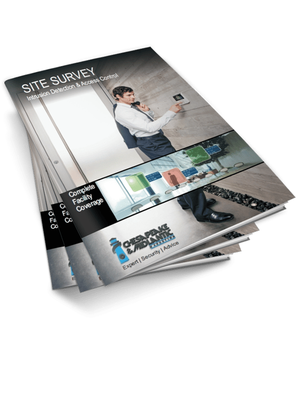 VMS Viewing Options: Workstation, IP Monitor, or Decoder